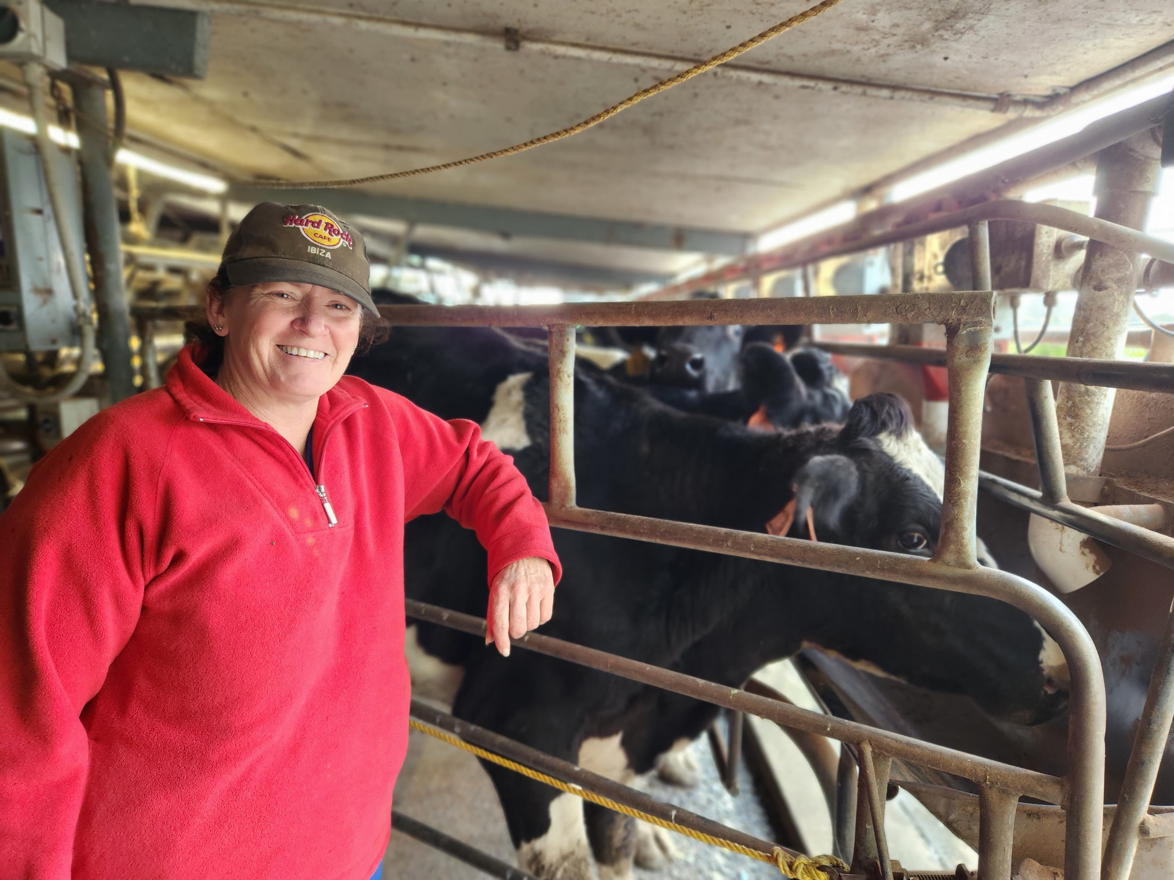 Calving a niche - Faith Farm Fresh keeps milk flowing direct to ...
