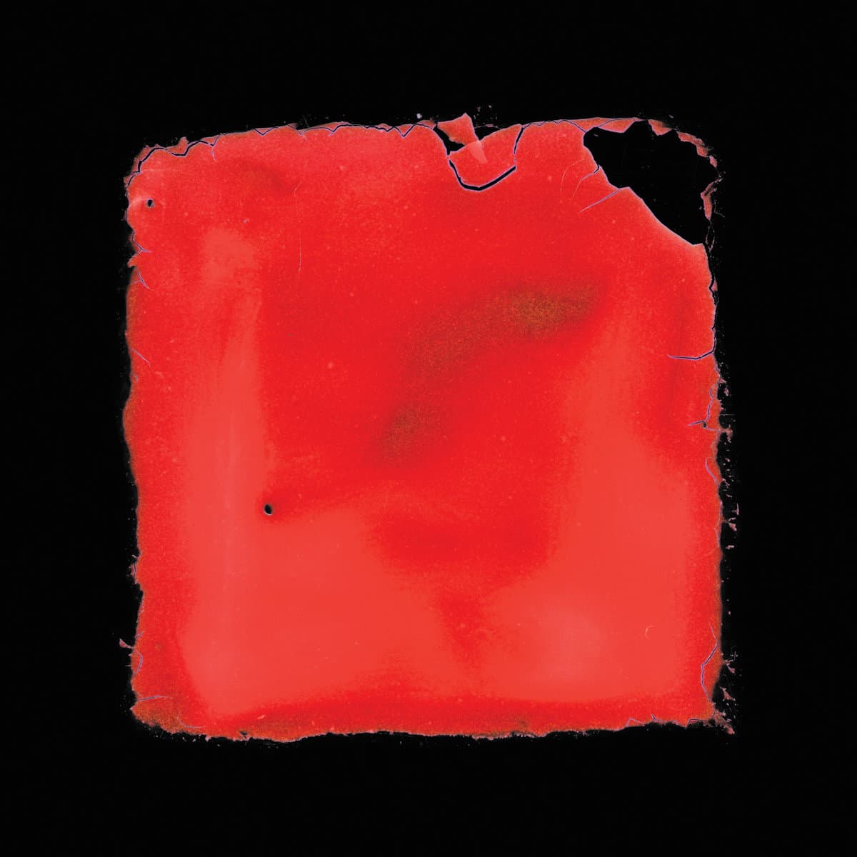 Review: Last Chance to See by Salvia Palth episode of The Sampler | RNZ