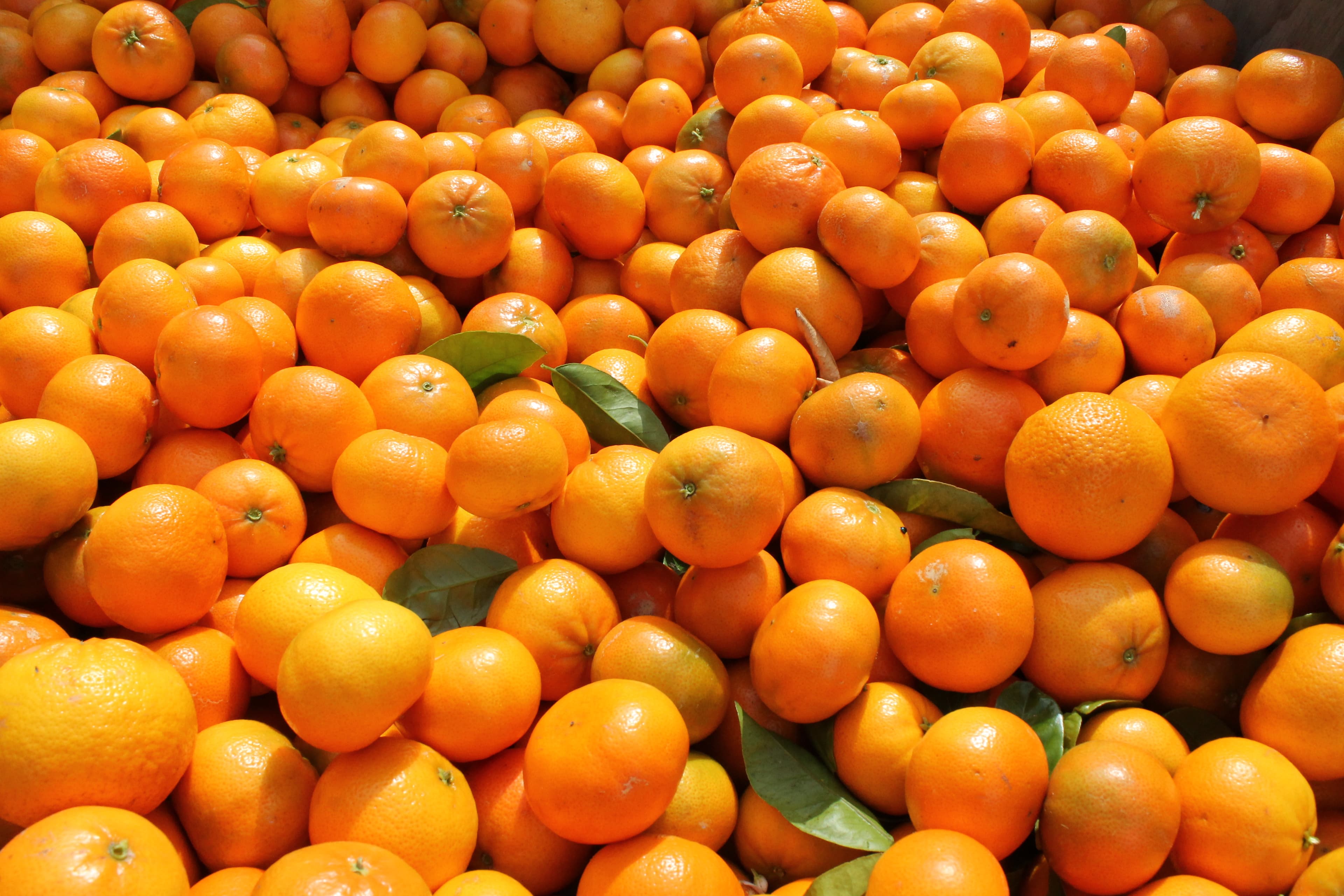 On the Farm - a wrap of farming conditions around NZ episode of Country ...