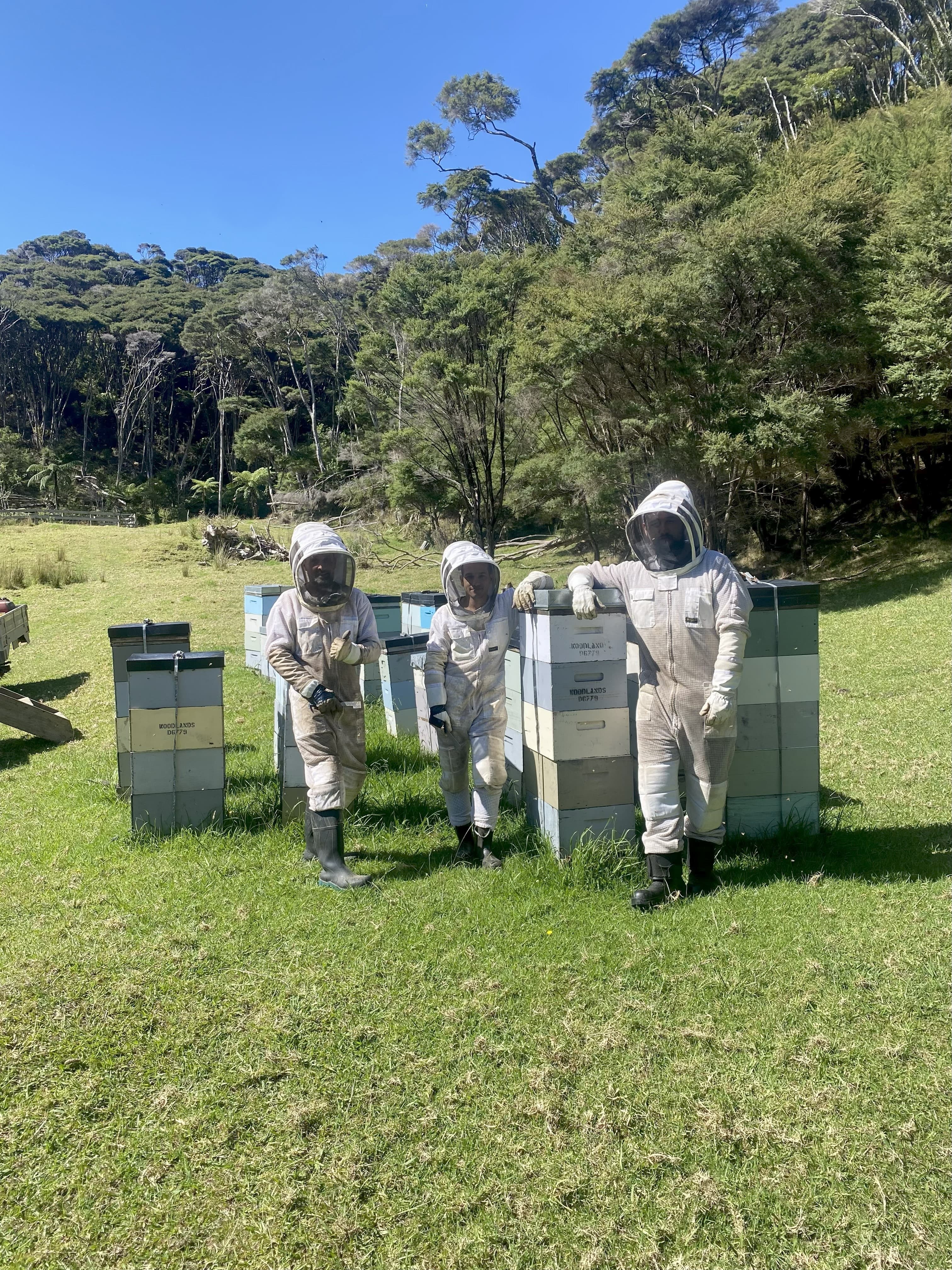 Sweet success for Coromandel couple's organic honey episode of Country ...