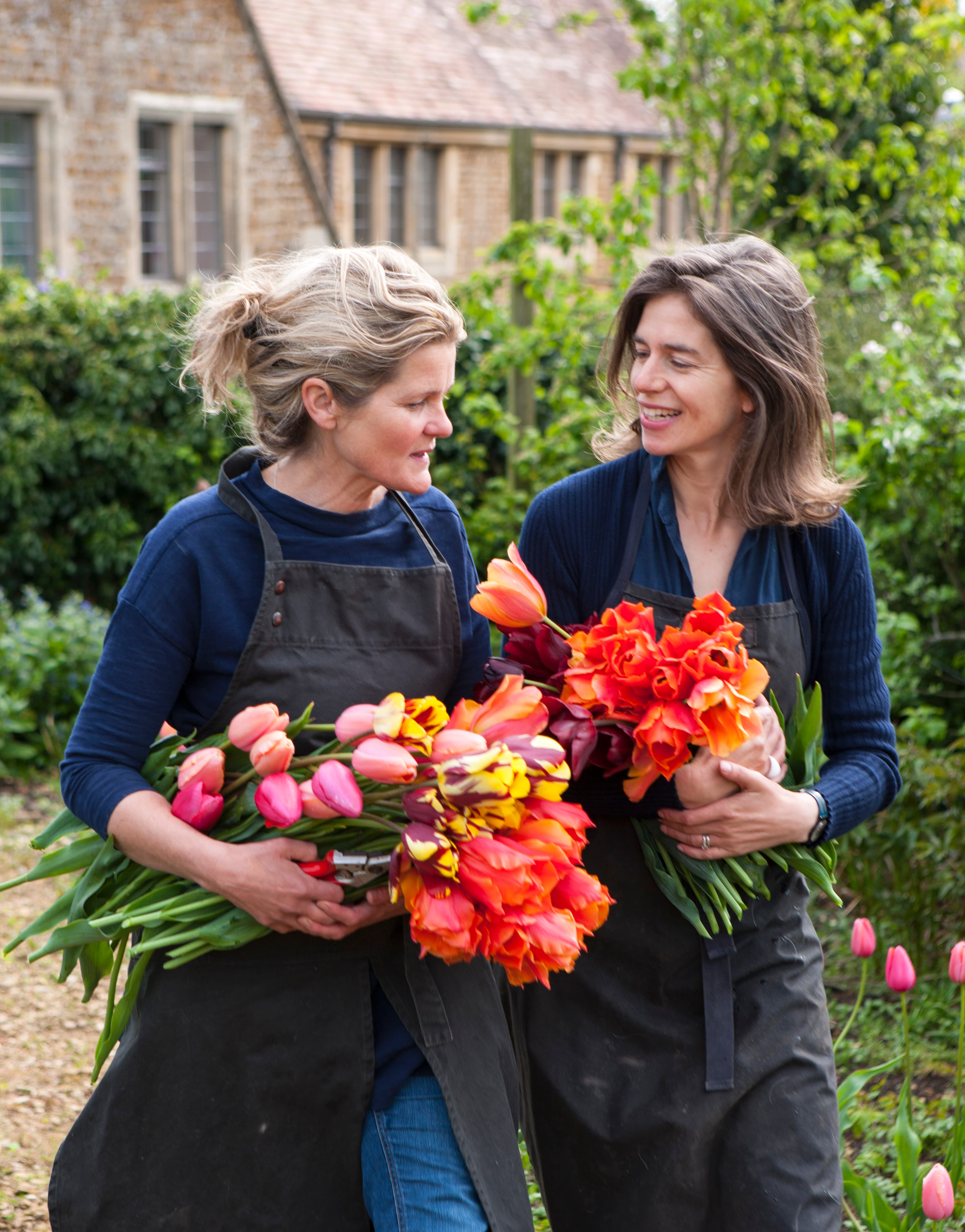 Meet a new MP: Dan Rosewarne episode of The House | RNZ