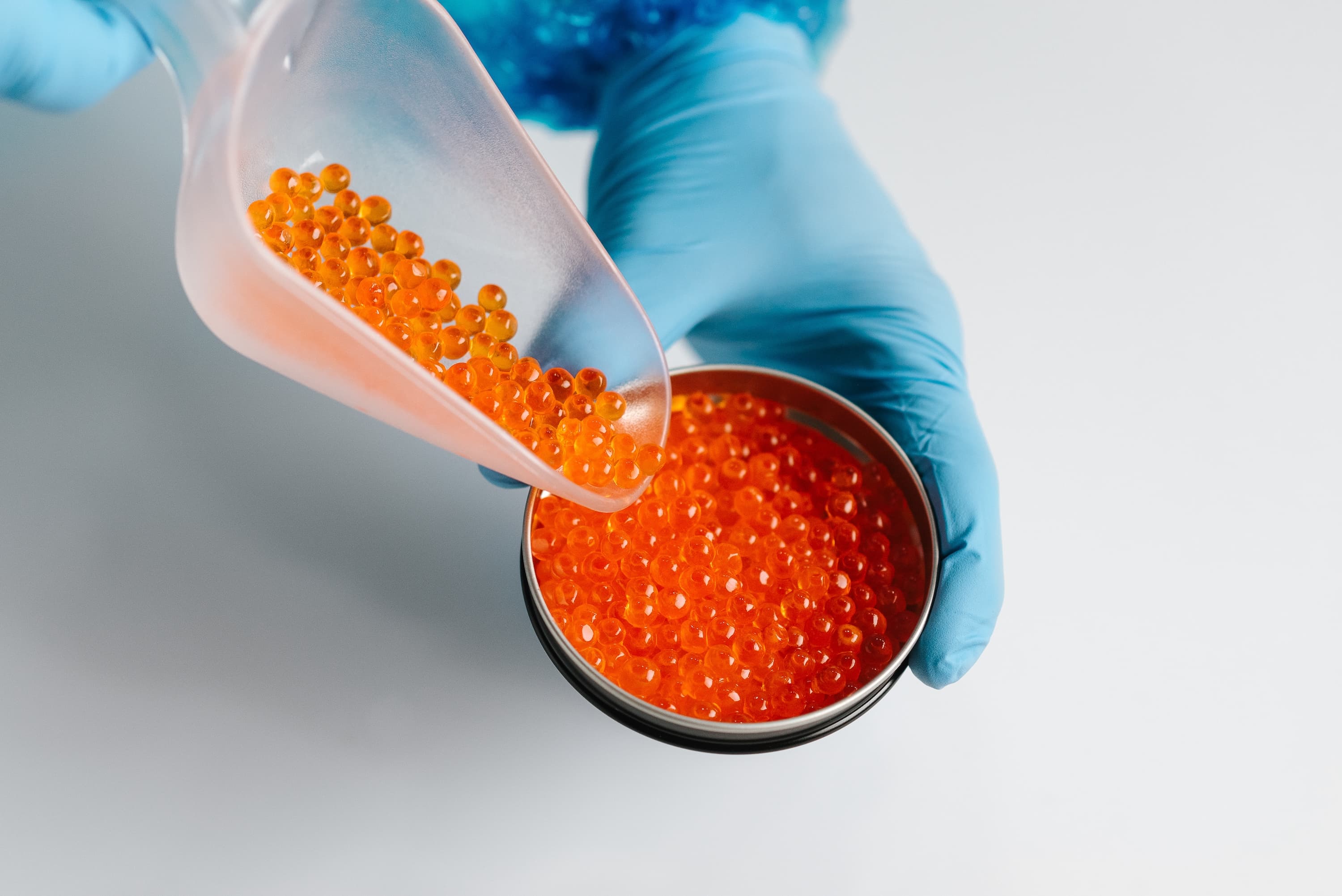 Reaping pink gold from South Island hydro canals - caviar harvest ...