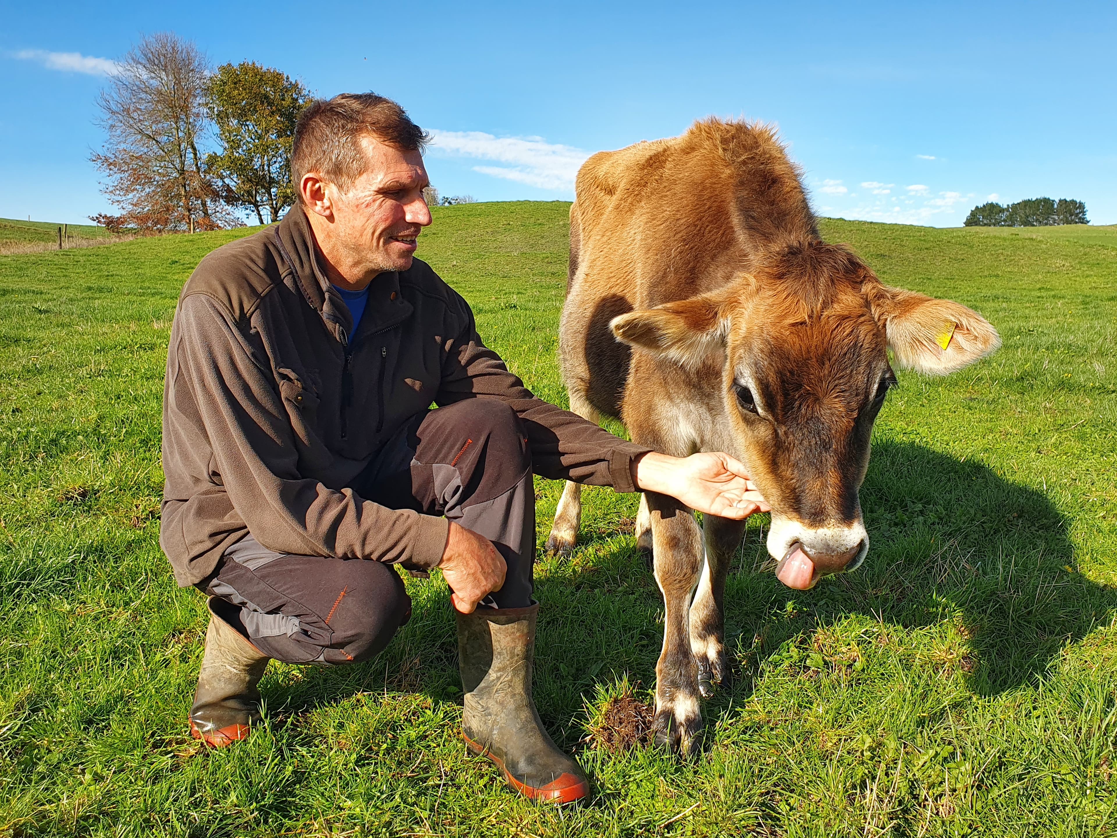 Happy cow, happy customers episode of Country Life | RNZ