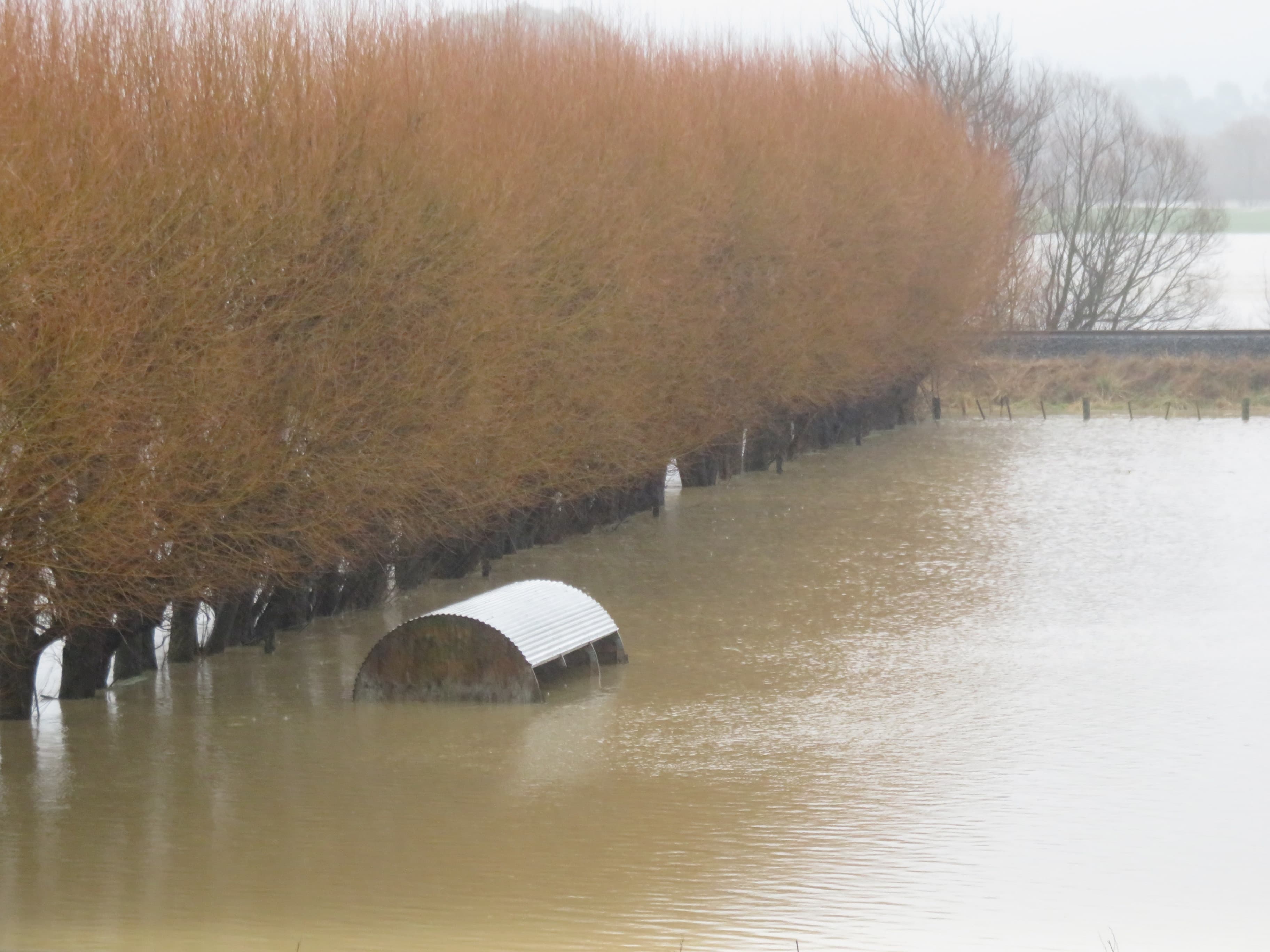 On the Farm - a wrap of farming conditions around NZ episode of Country ...