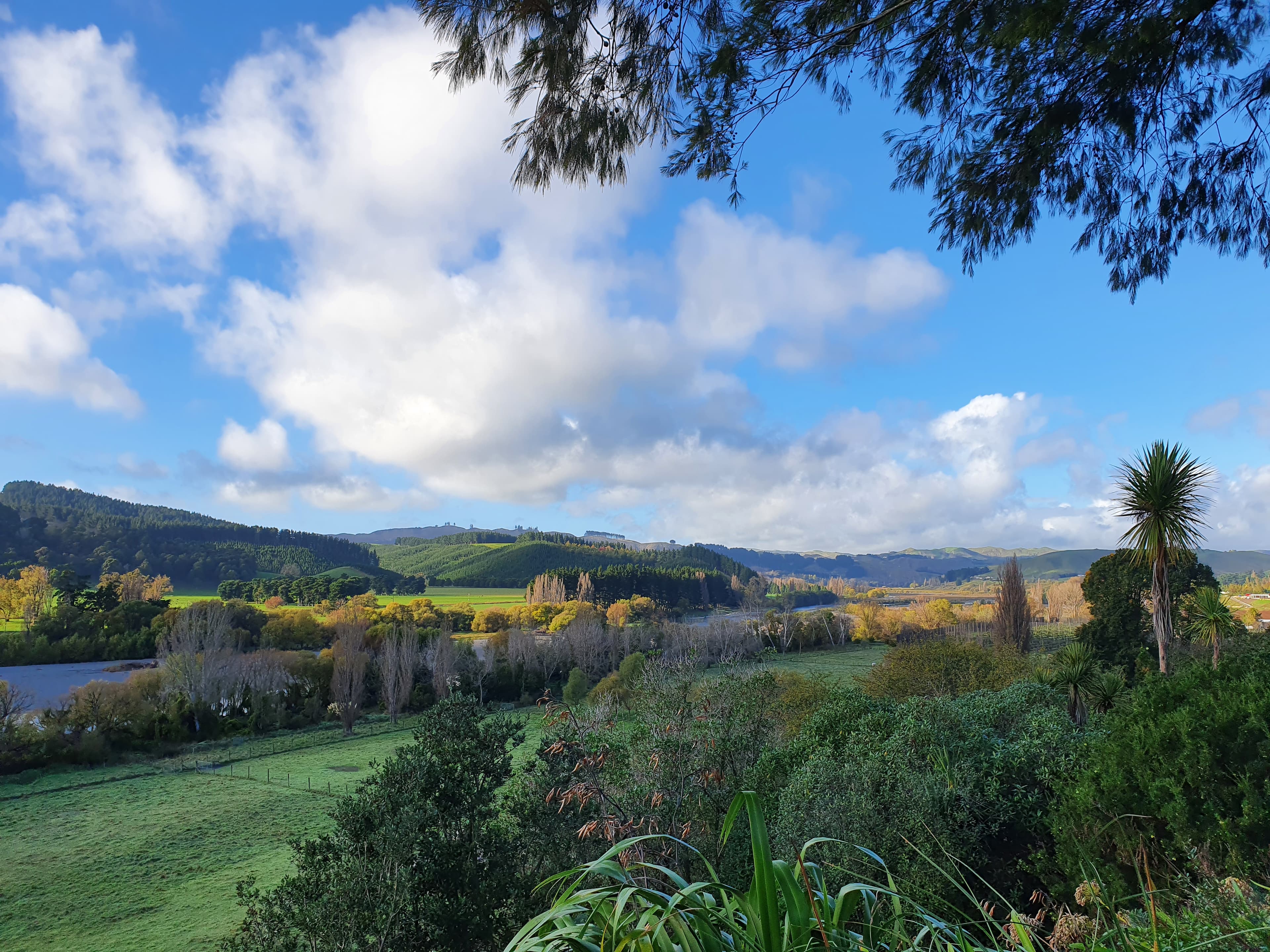 On the Farm - a wrap of farming conditions around NZ episode of Country ...