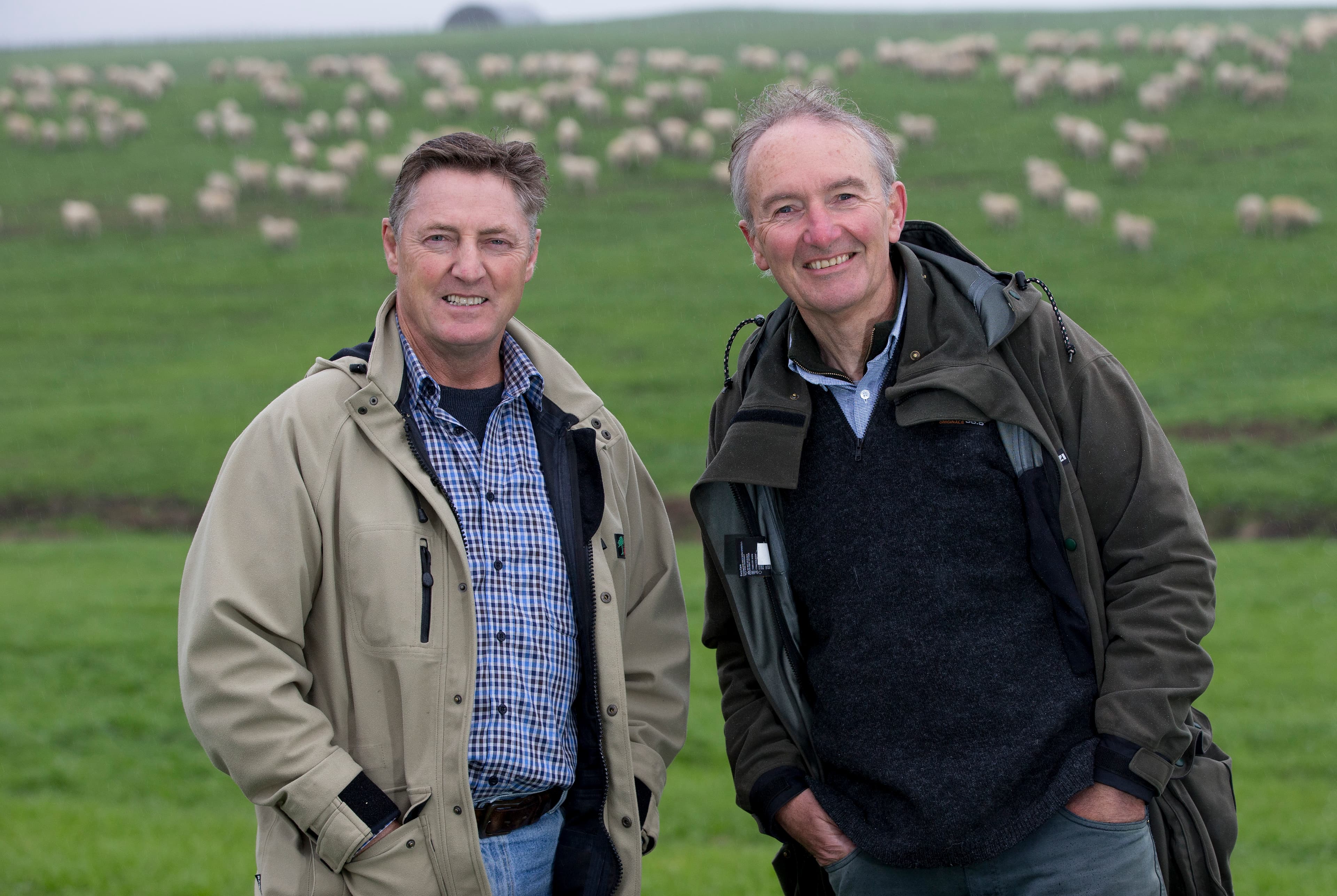 Expanding Sheep Milk Flock episode of Country Life | RNZ