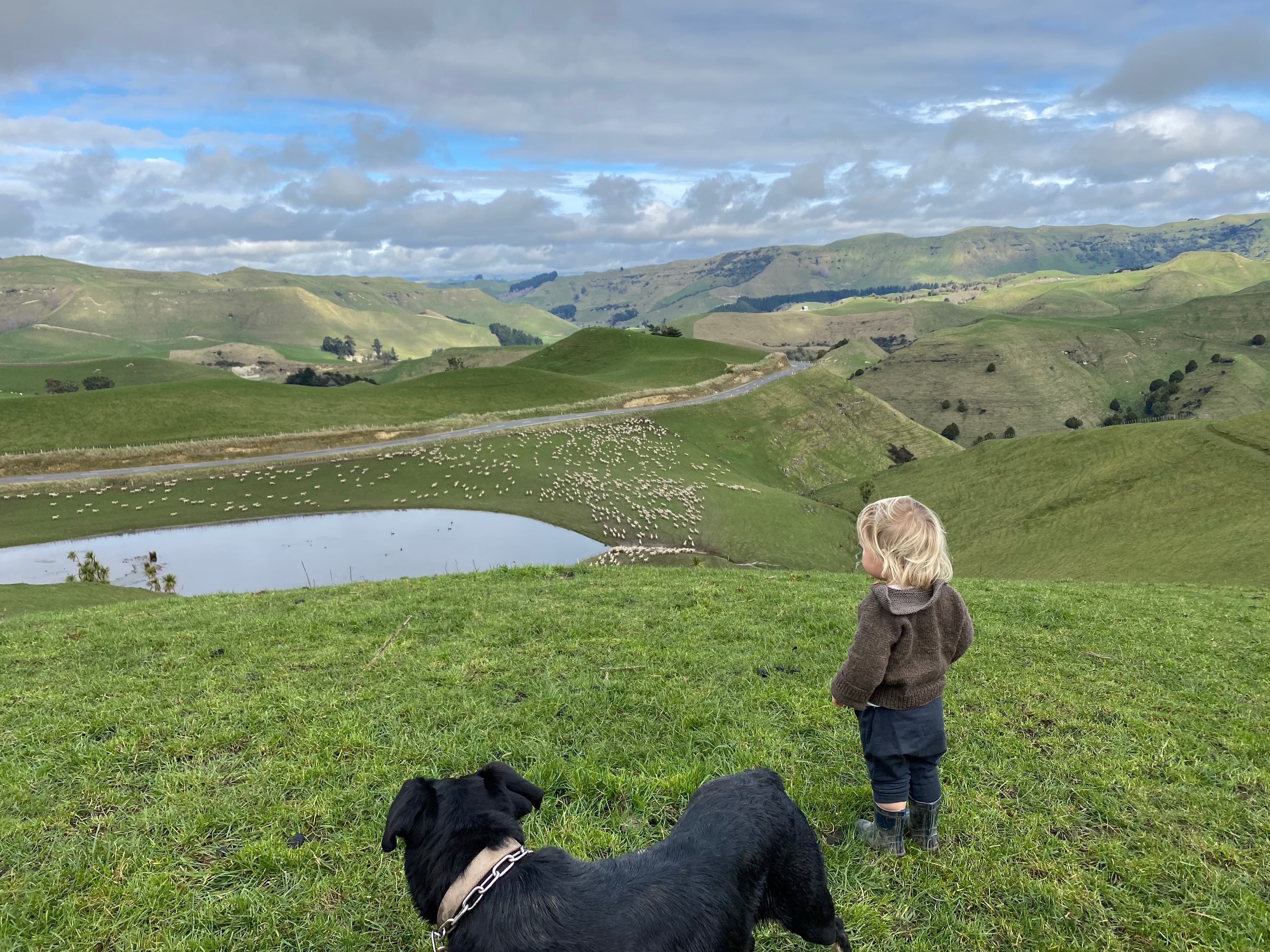 Country Life for 2 September 2022 episode of Country Life | RNZ