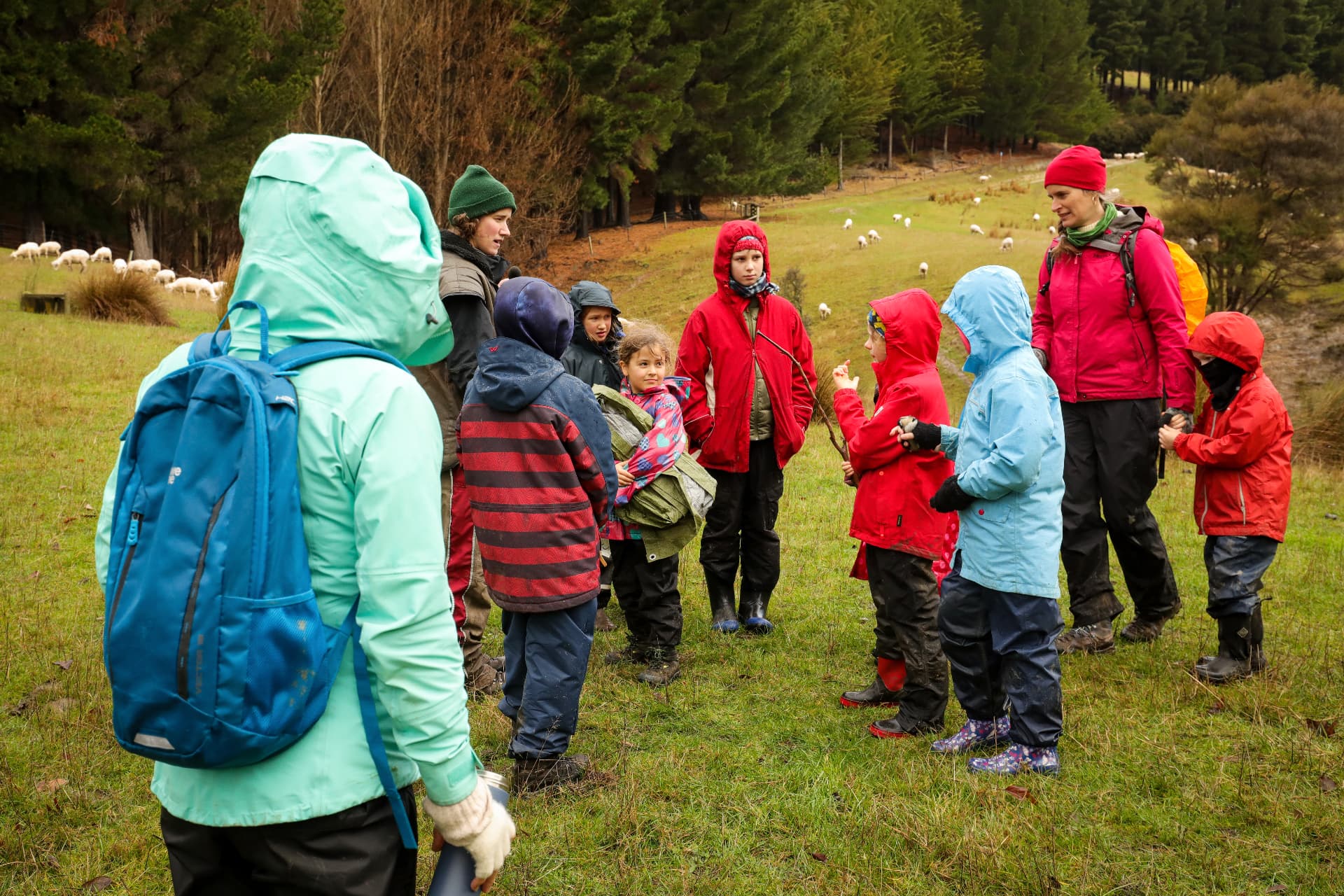 An action-packed farm experience for urban kids episode of Country Life ...