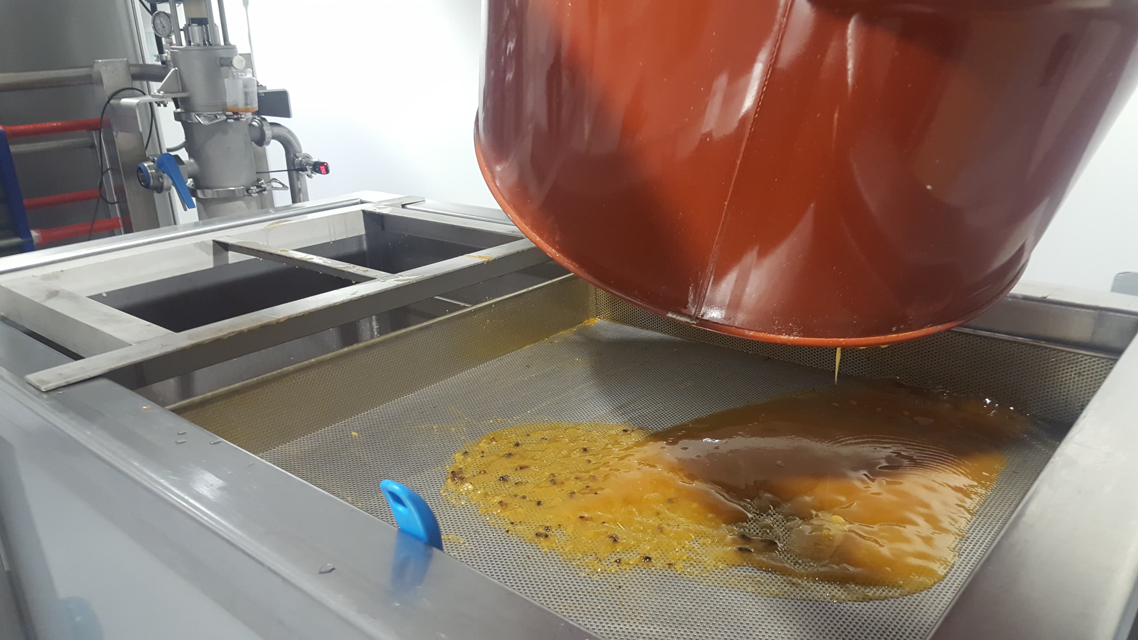 Honey for Healthy Skin episode of Country Life | RNZ