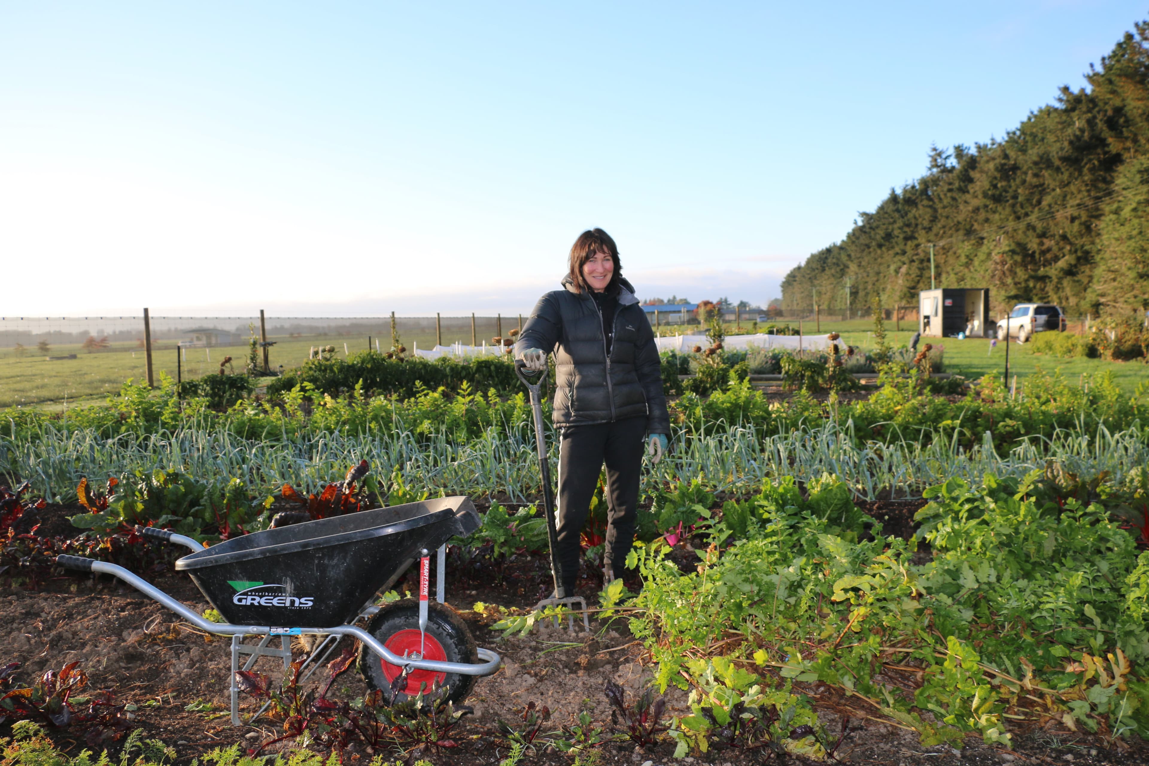 Market garden on farm provides staff with healthy vege boxes episode of ...
