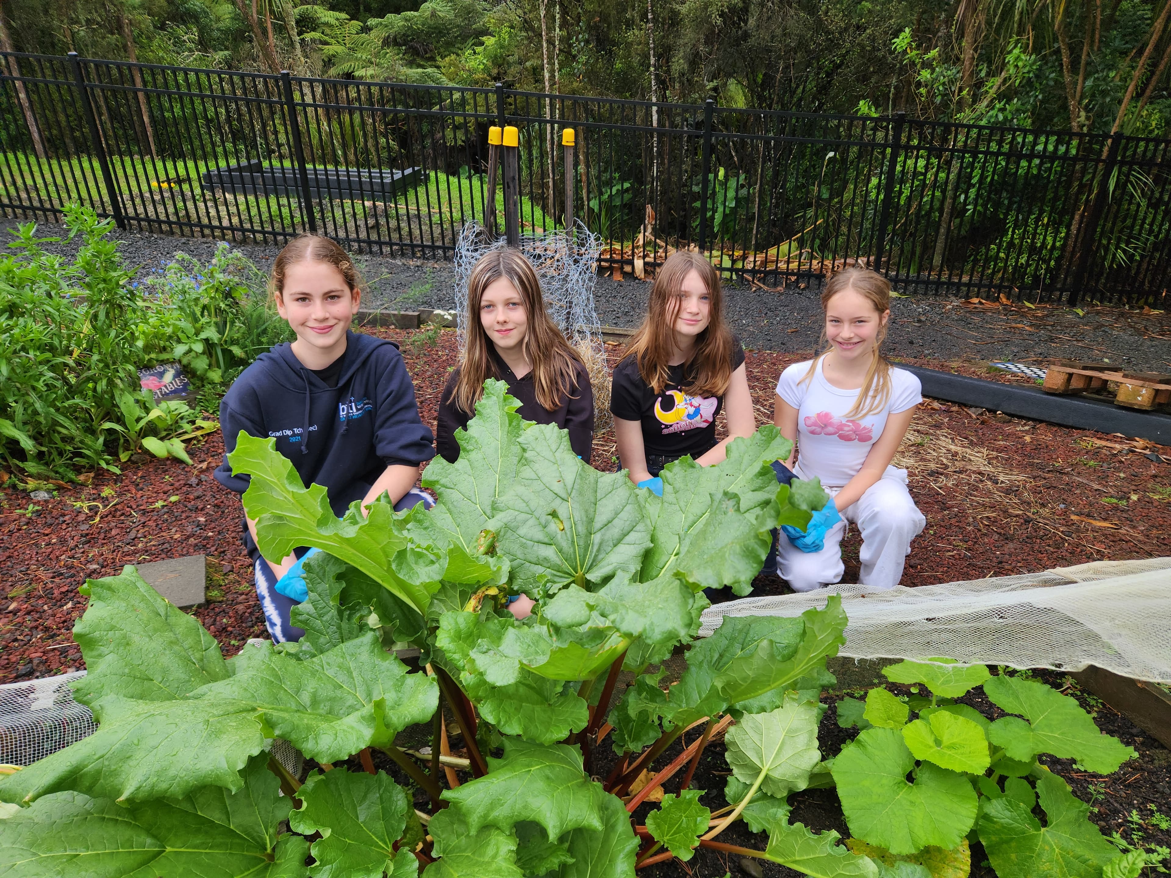 FULL SHOW: Country Life for 11 July 2025 episode of Country Life | RNZ