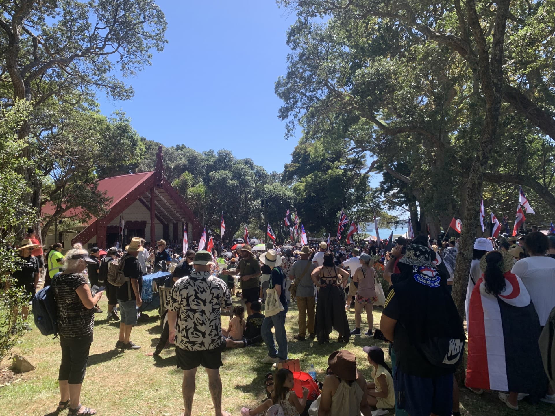 Political commentators Brigitte Morten and Neale Jones episode of Nine ...