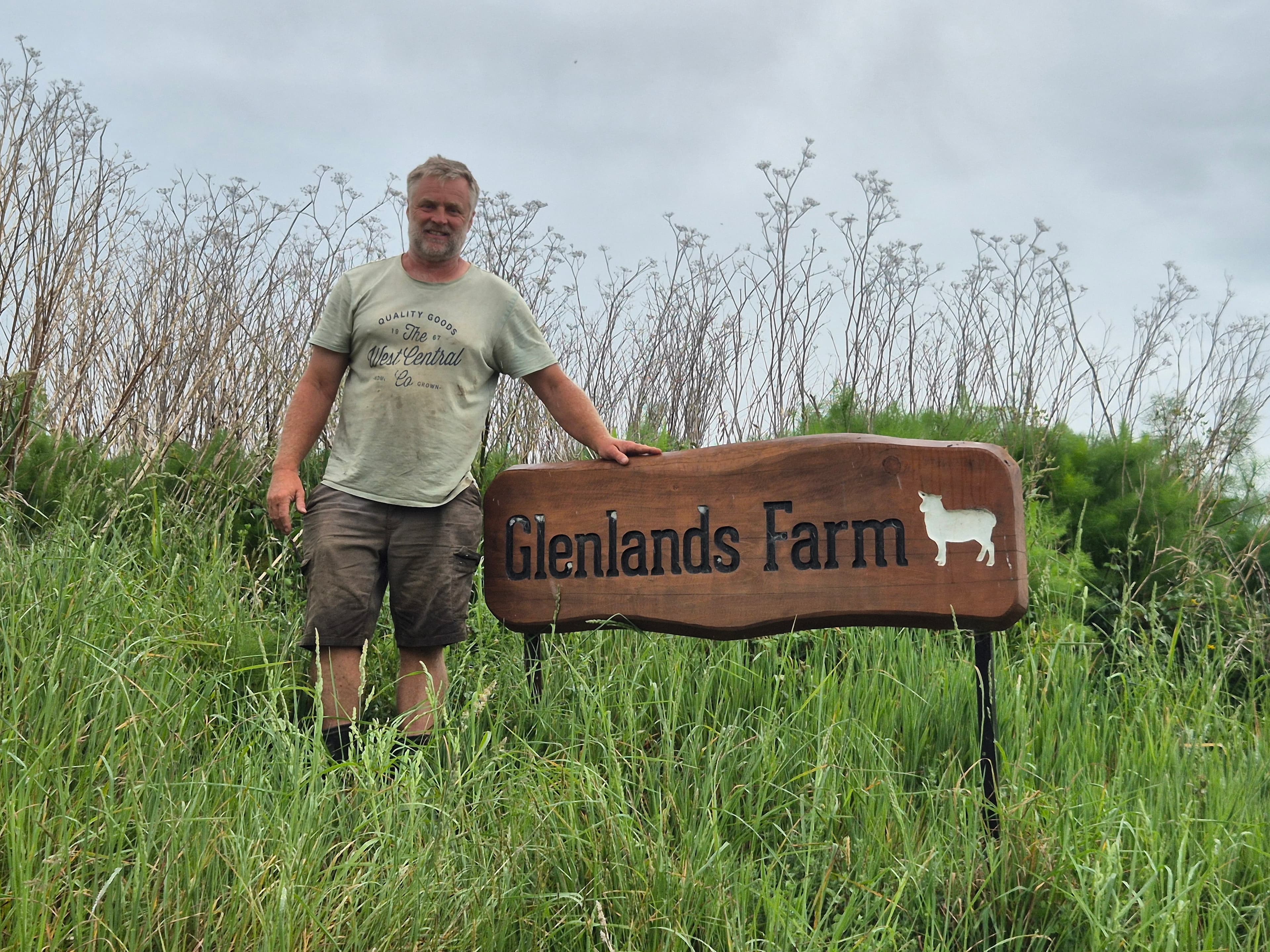 SheepMaster: Hawke's Bay farm's foray into shedding sheep episode of ...