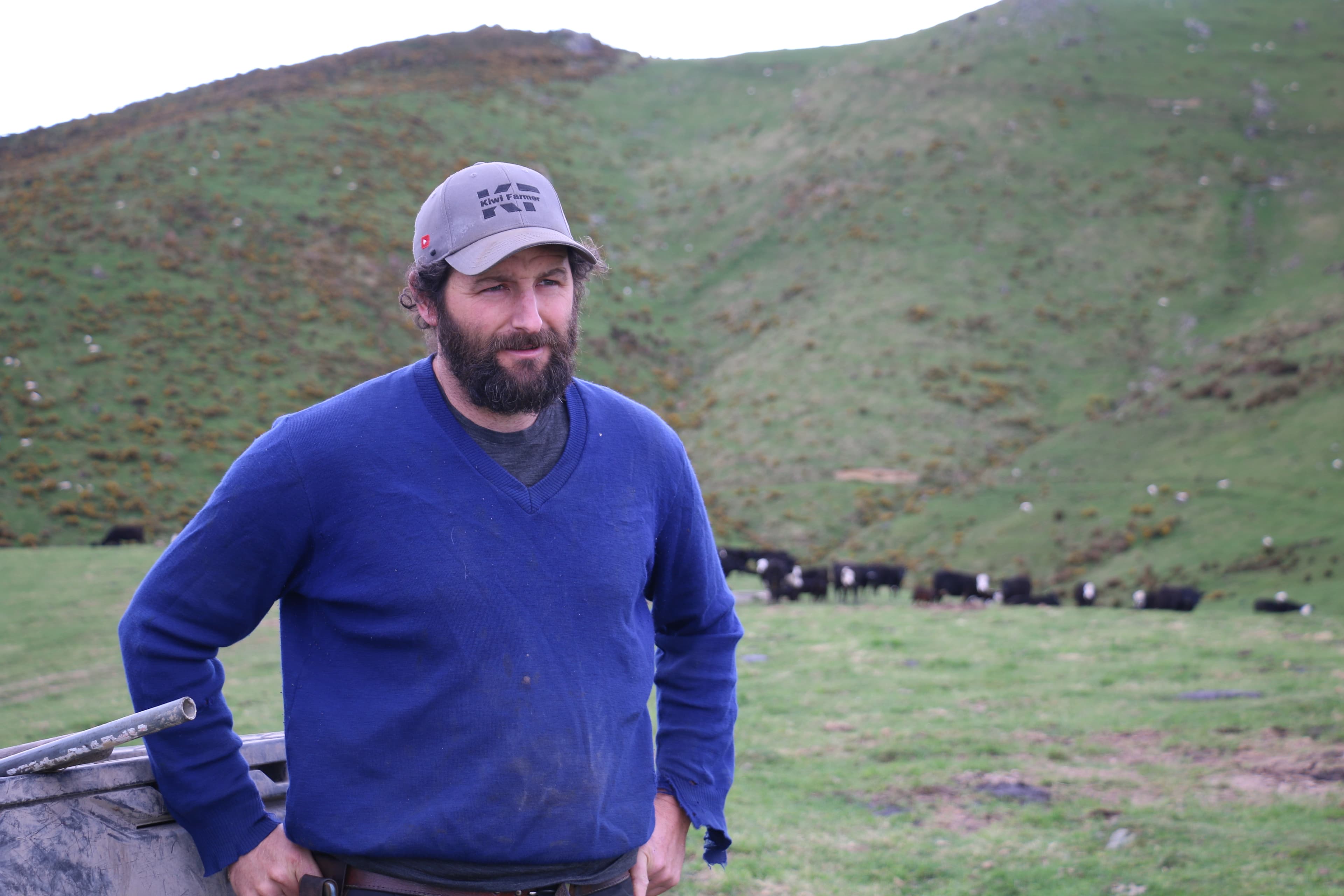 A year on the farm: Off to the local bull sale episode of Country Life ...