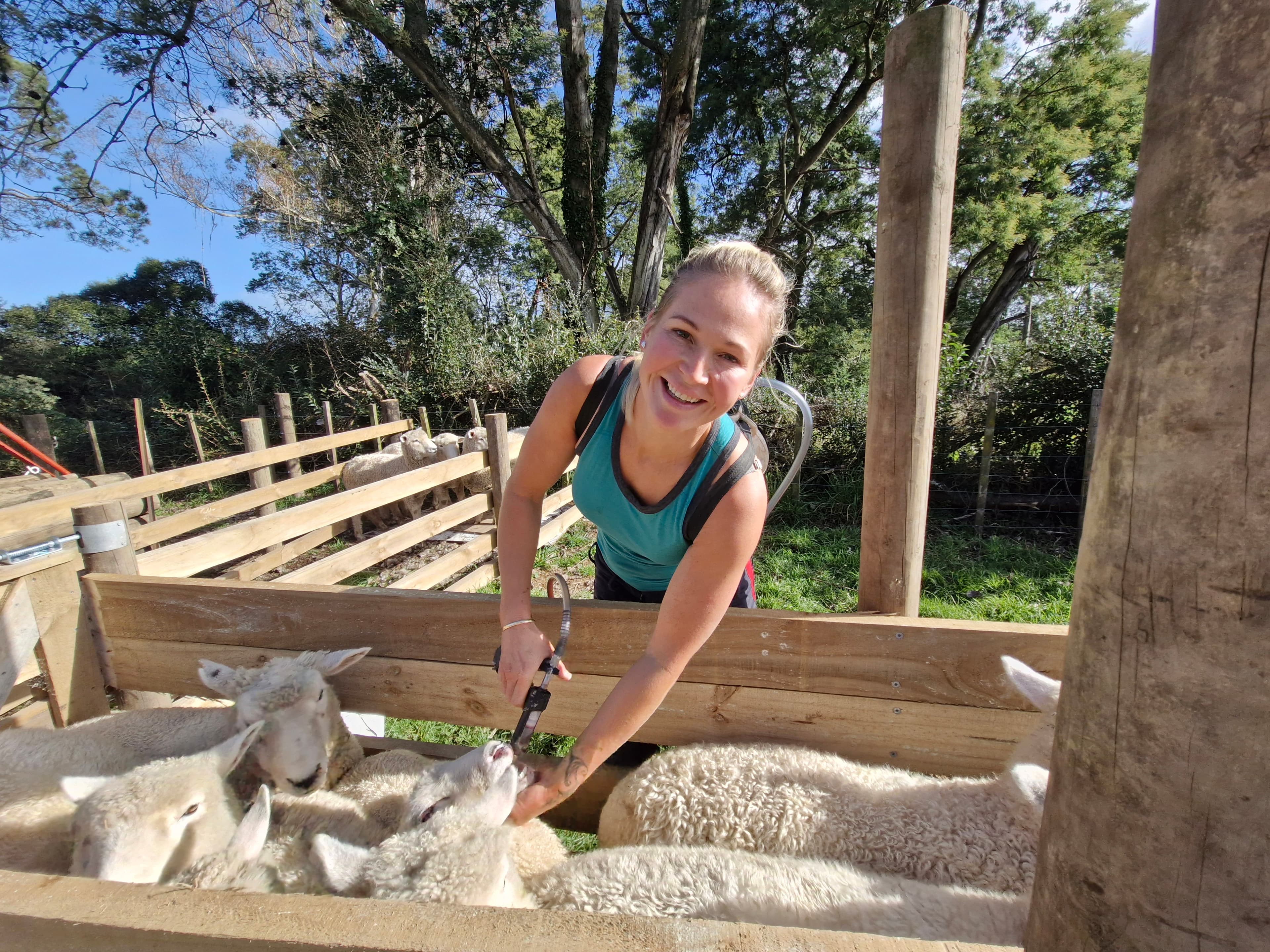 No lost sheep for this Bo Peep - pro shearer finds dream job episode of ...