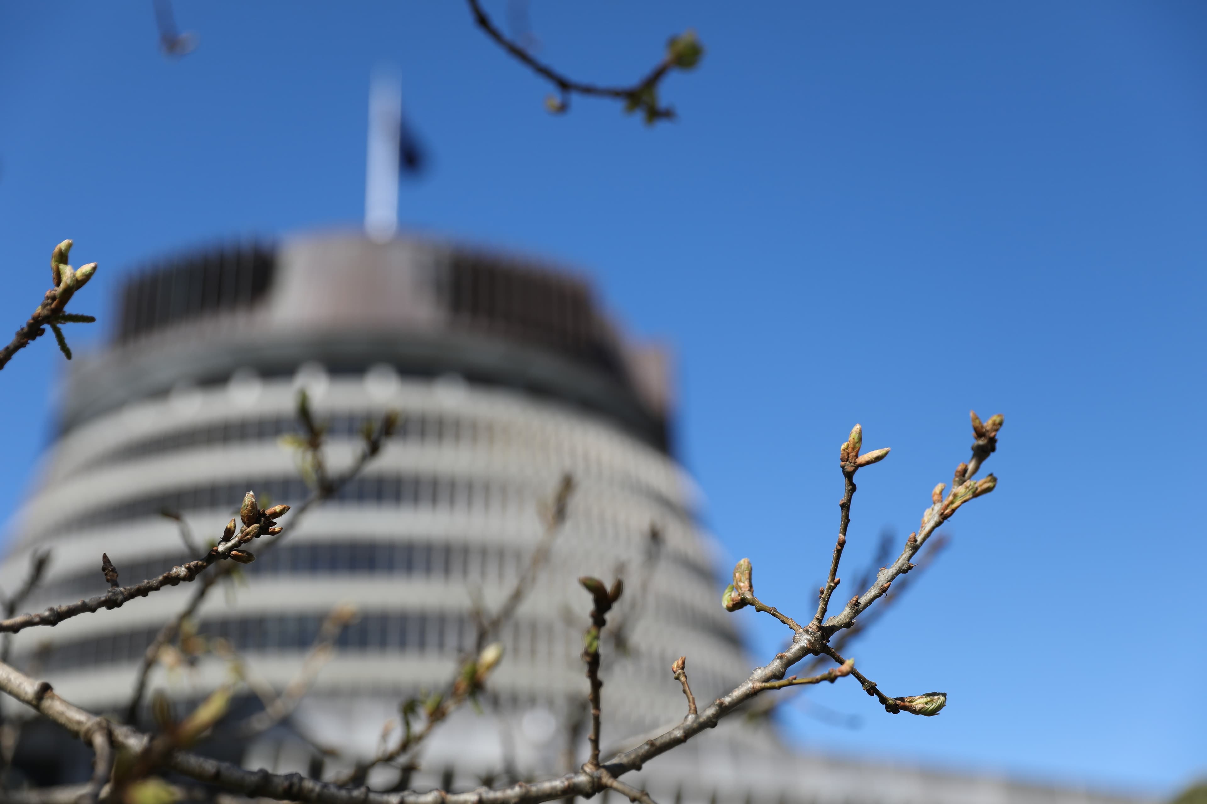 Political messaging: top down, bottom up episode of The House | RNZ