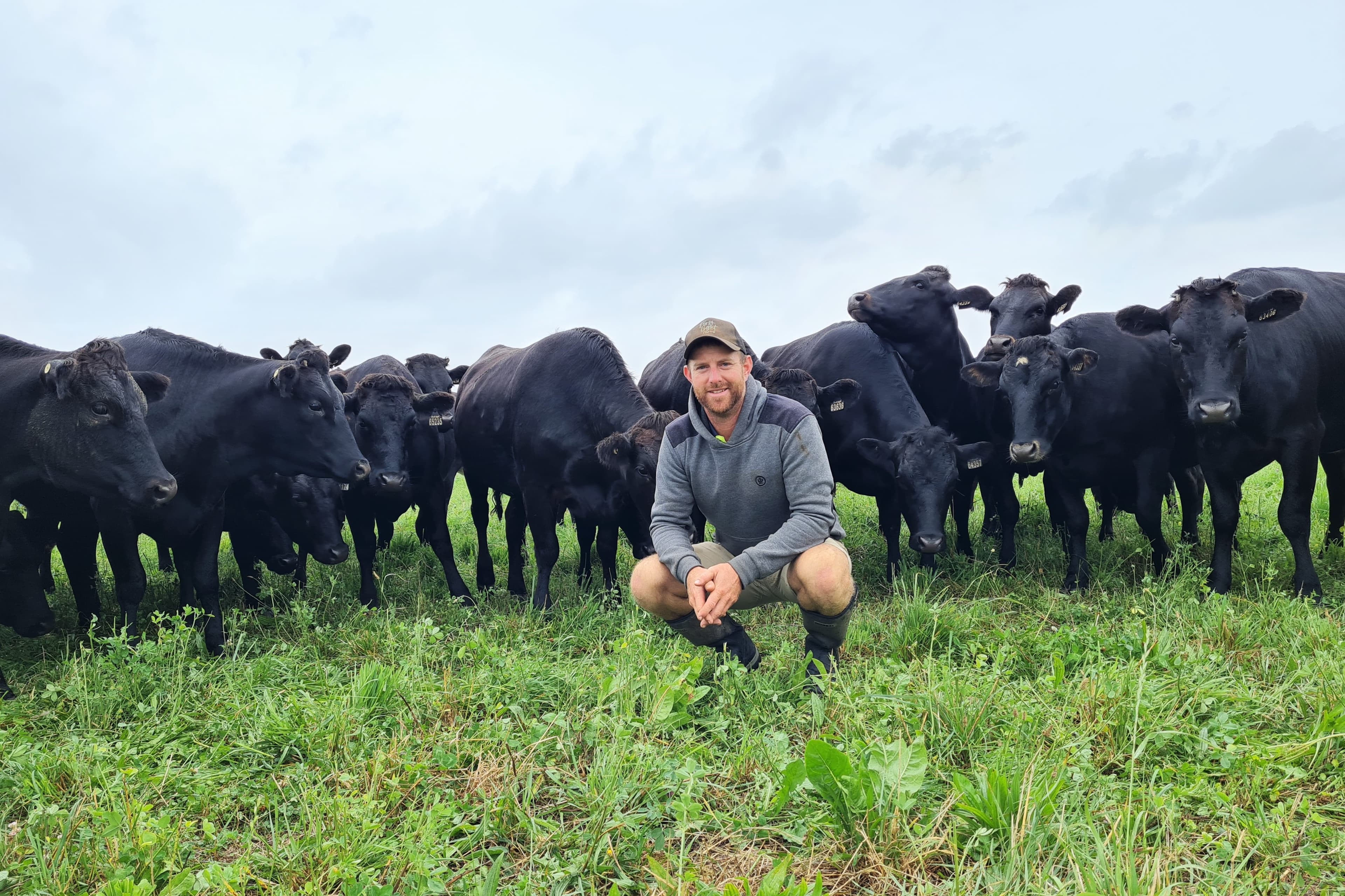 New direction for traditional farm episode of Country Life | RNZ