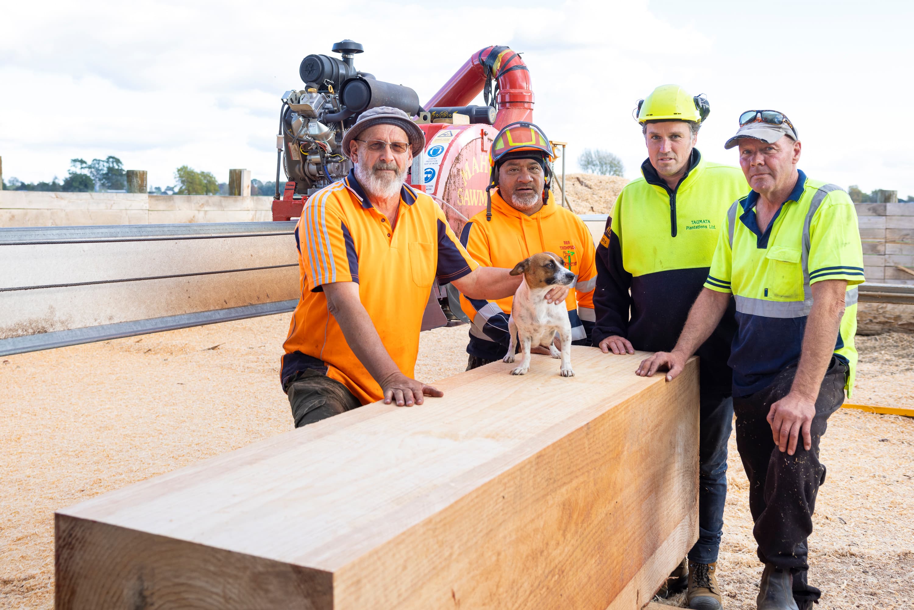 Farming v Forestry - Friend or Foe episode of Country Life | RNZ