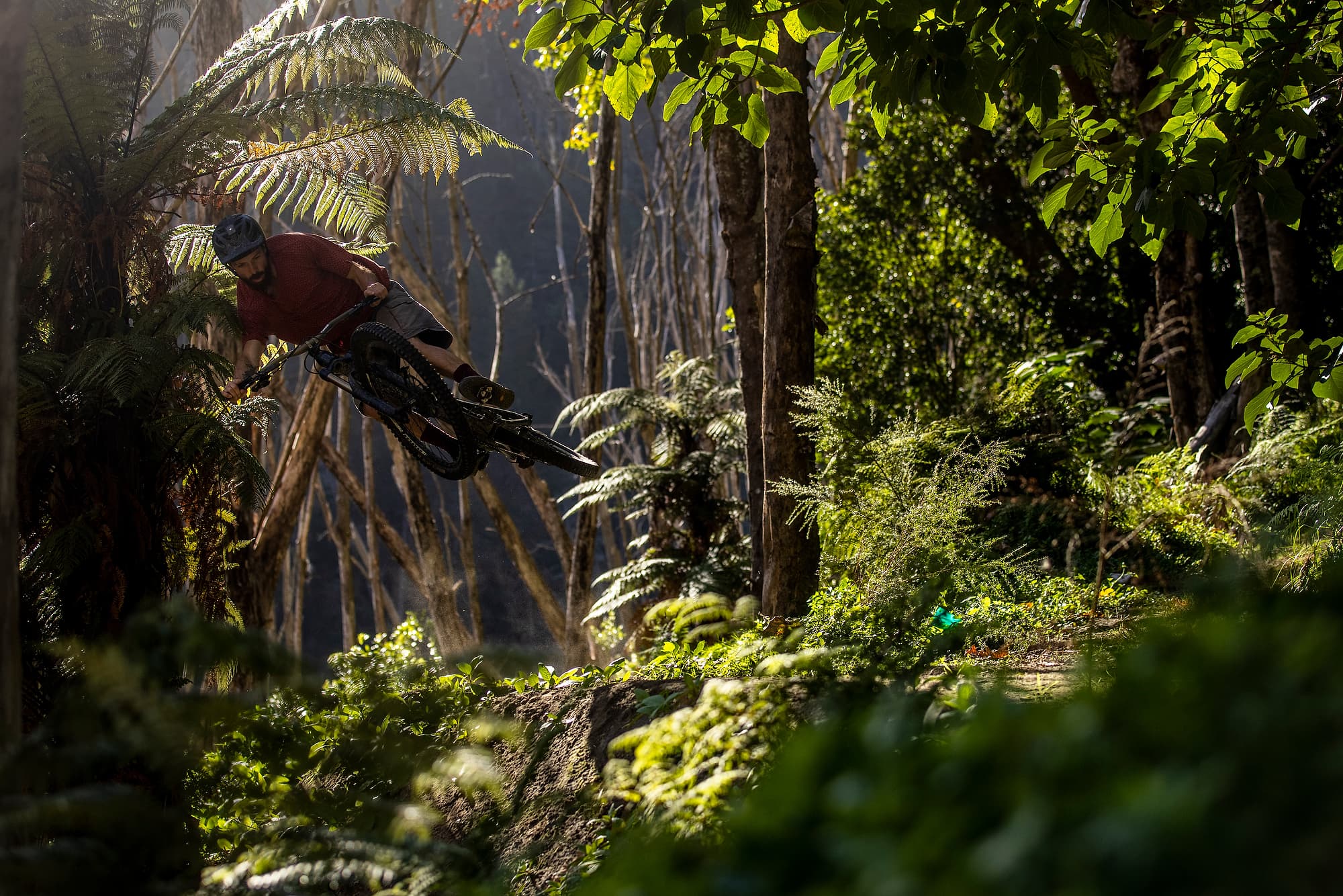 Mountain bike trails put new spin on Whanganui farm episode of Country ...