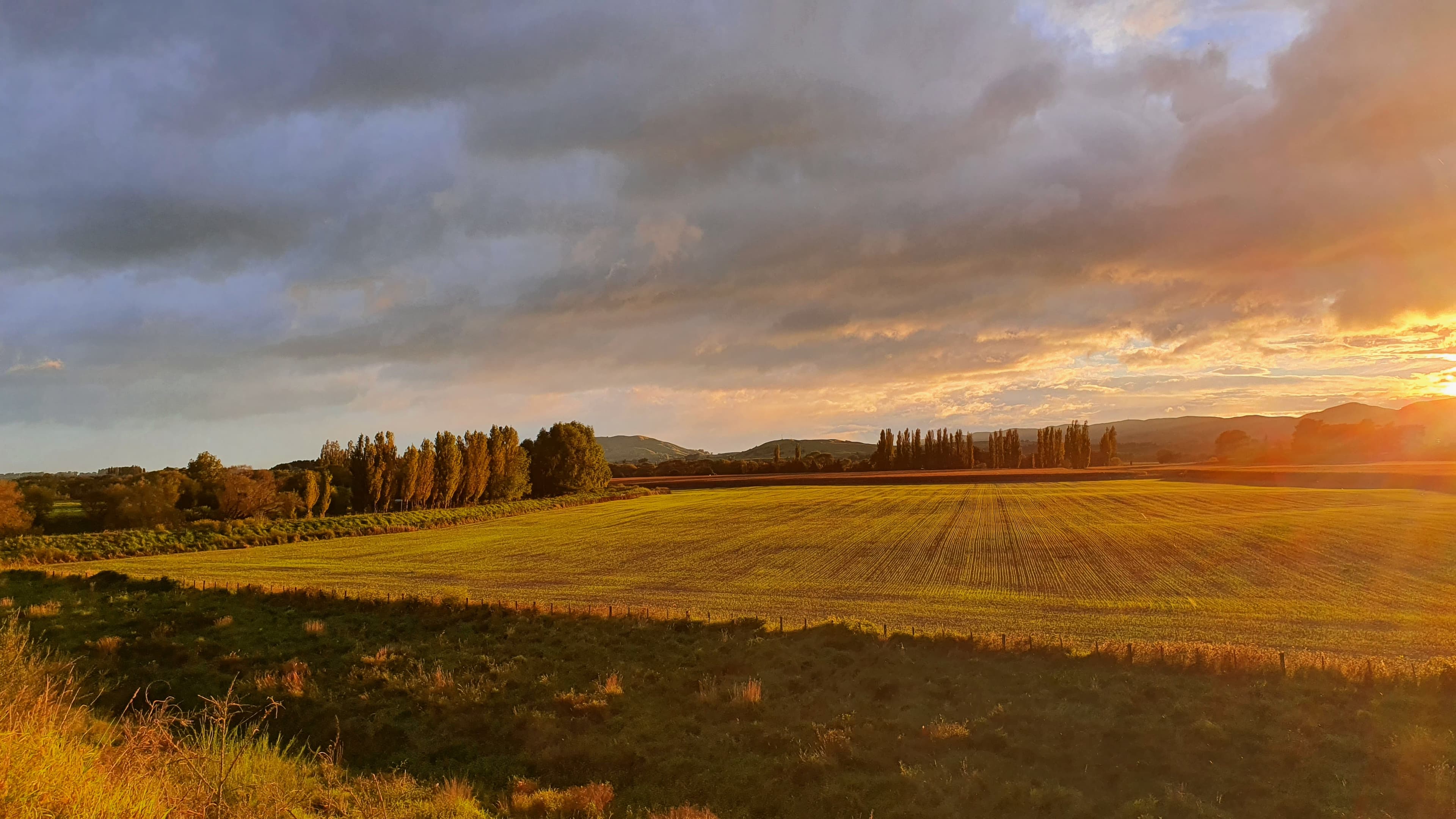 On the Farm - a wrap of farming conditions around NZ episode of Country ...